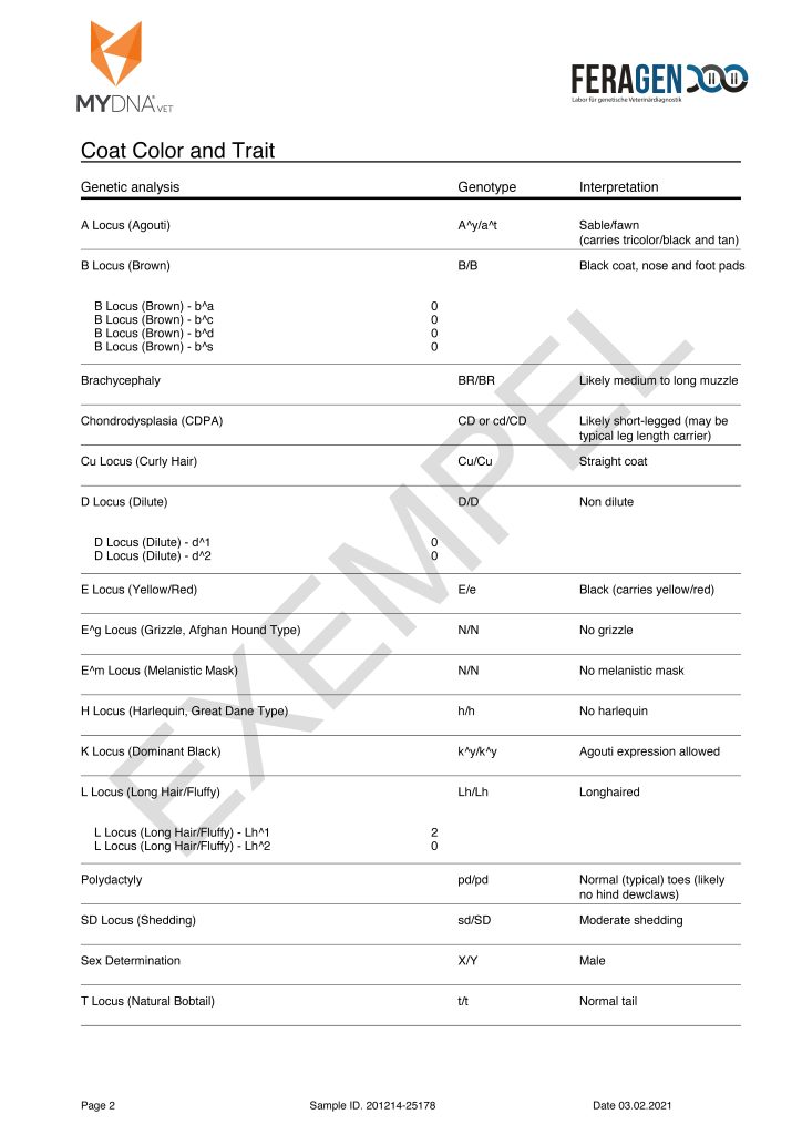 DogCheck 4.0 | Avancerat genetiskt screeningtest | MYDNAvet